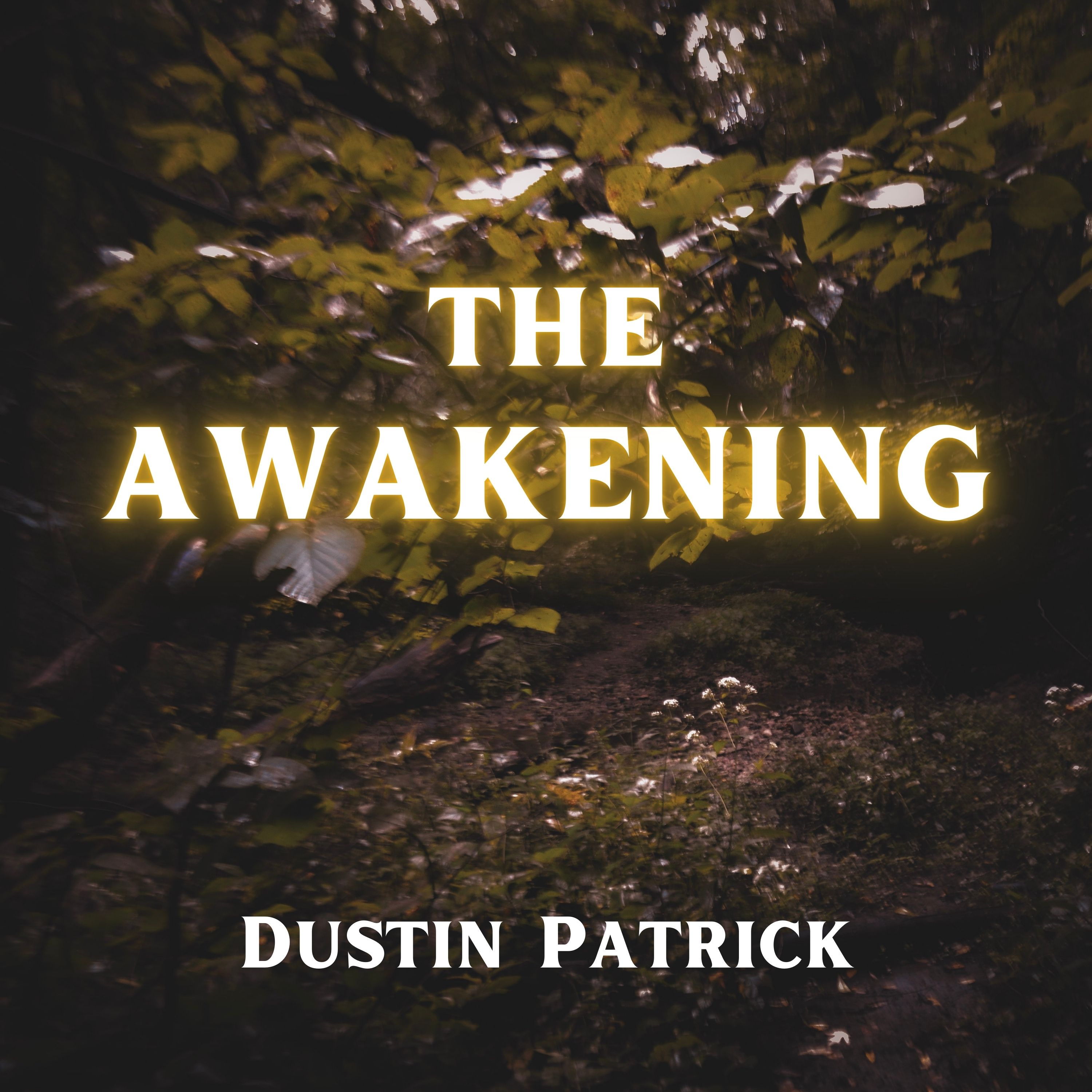 Music – Dustin Patrick